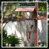 Spotted Eagle Owl Box - EcoSolutions | Shop online now - South Africa
