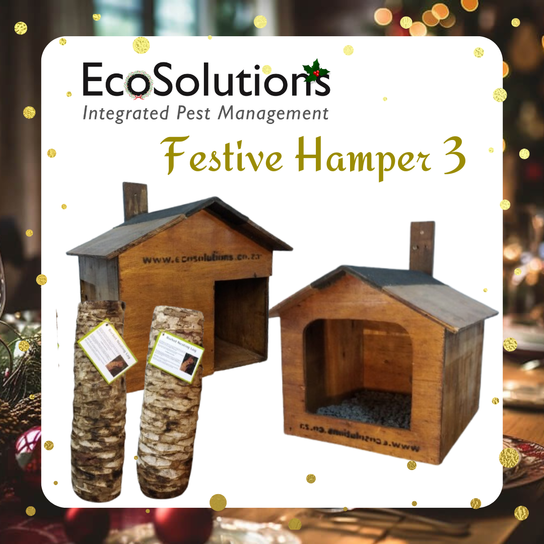 Hamper 3 - EcoSolutions | Shop online now - South Africa